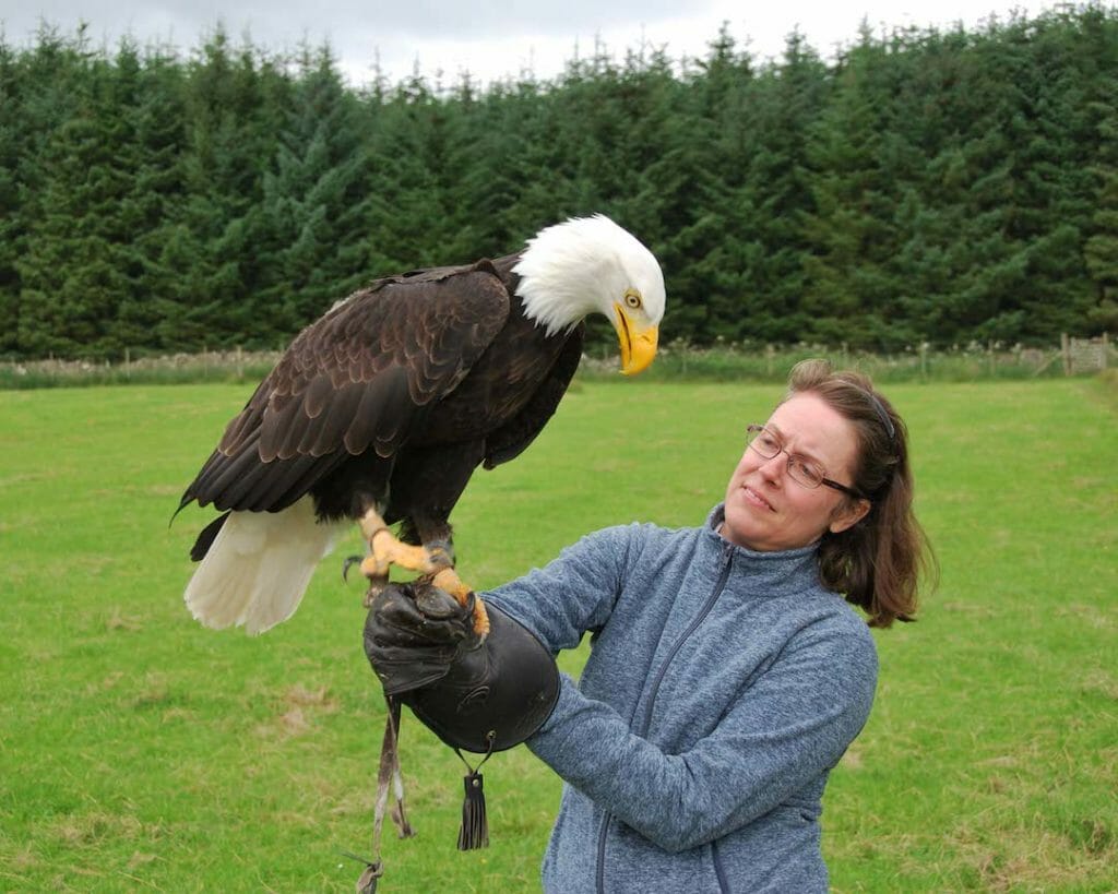 Financial Literacy Month Spotlight: Jean Marie Dillon, CFP®, AFC® - AFCPE